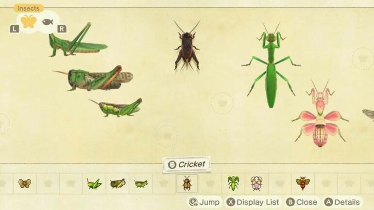 Animal Crossing: New Horizons: A Lovely Safe Haven - Switch Review