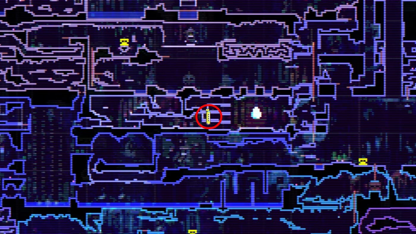 Animal Well: How to Get All Items